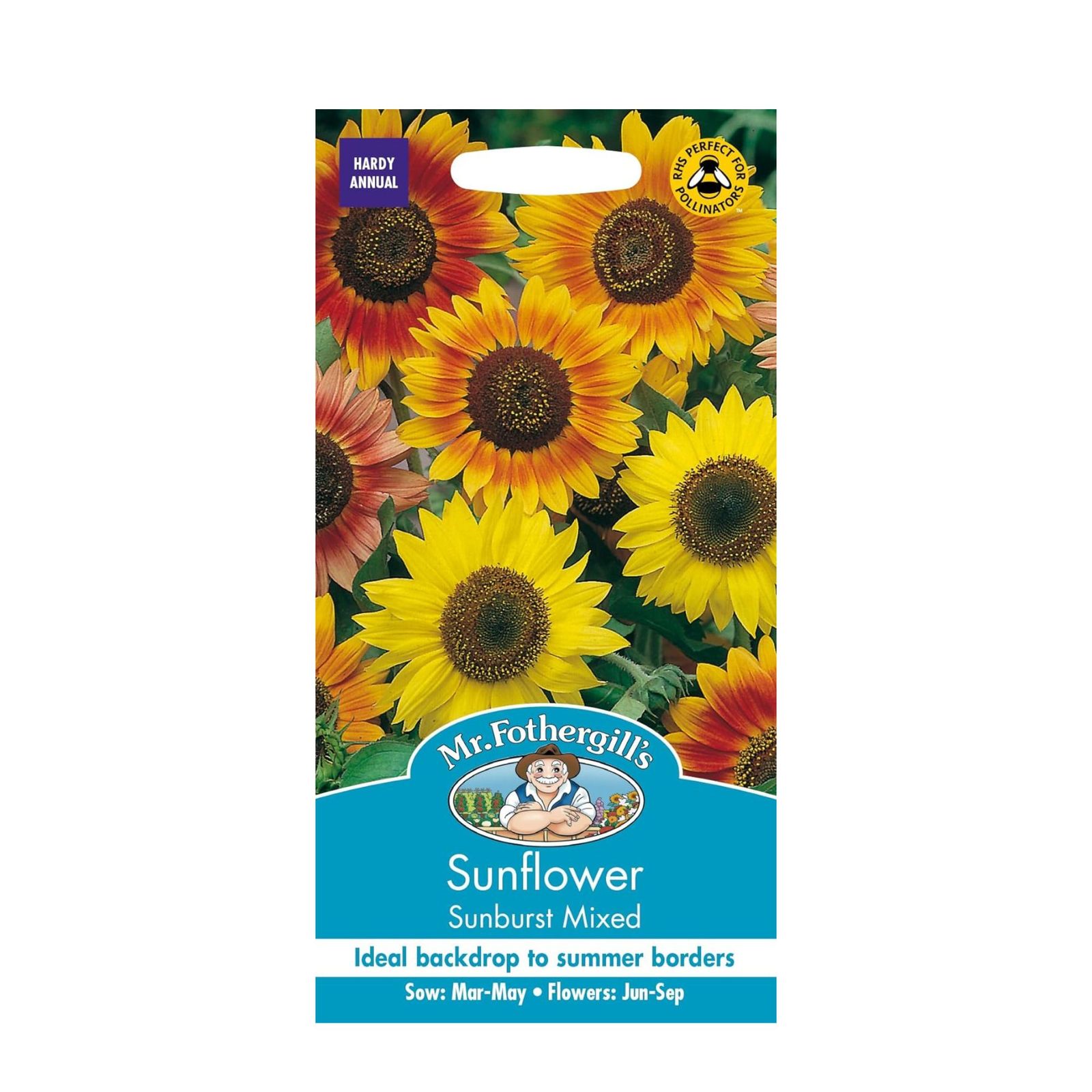 When to repot sunflower seedlings to ensure a sunny display of blooms ...