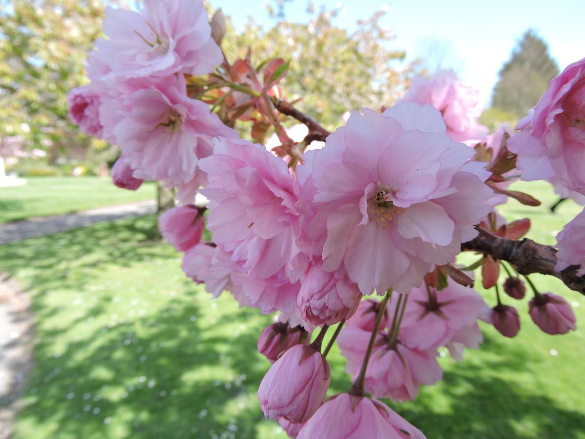 Sample images - Nikon Coolpix P600 review - Page 6 | TechRadar