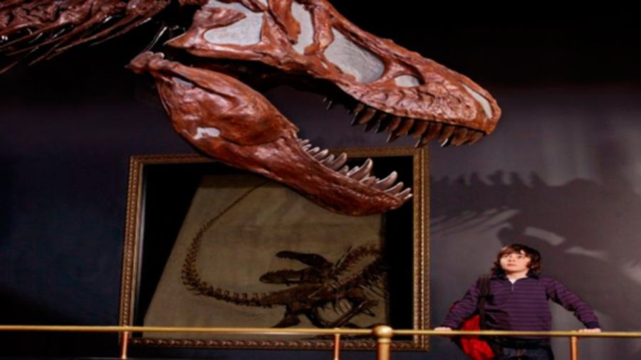 Virtualising an IT infrastructure for dinosaurs | TechRadar