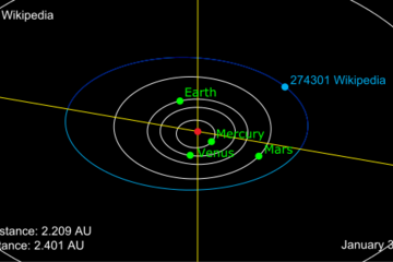 Asteroid Re-Named 'Wikipedia' | Space