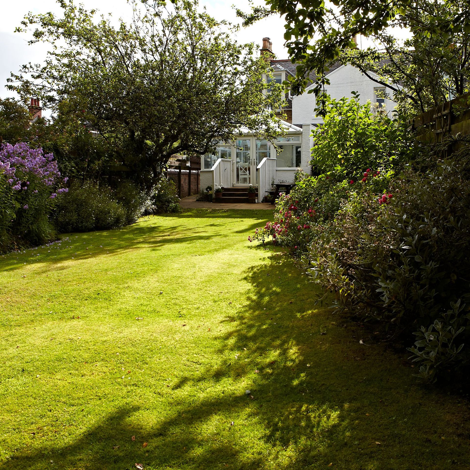 When to reseed a lawn for lush grass this summer | Ideal Home