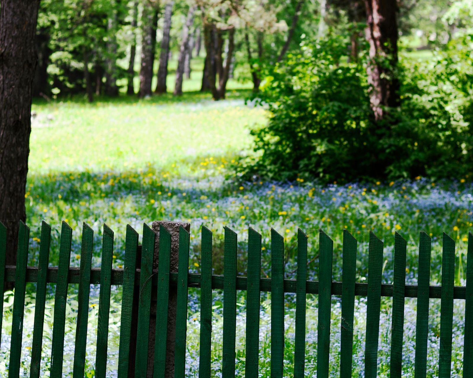 What fence color will add the most value? Experts advise | Homes and ...