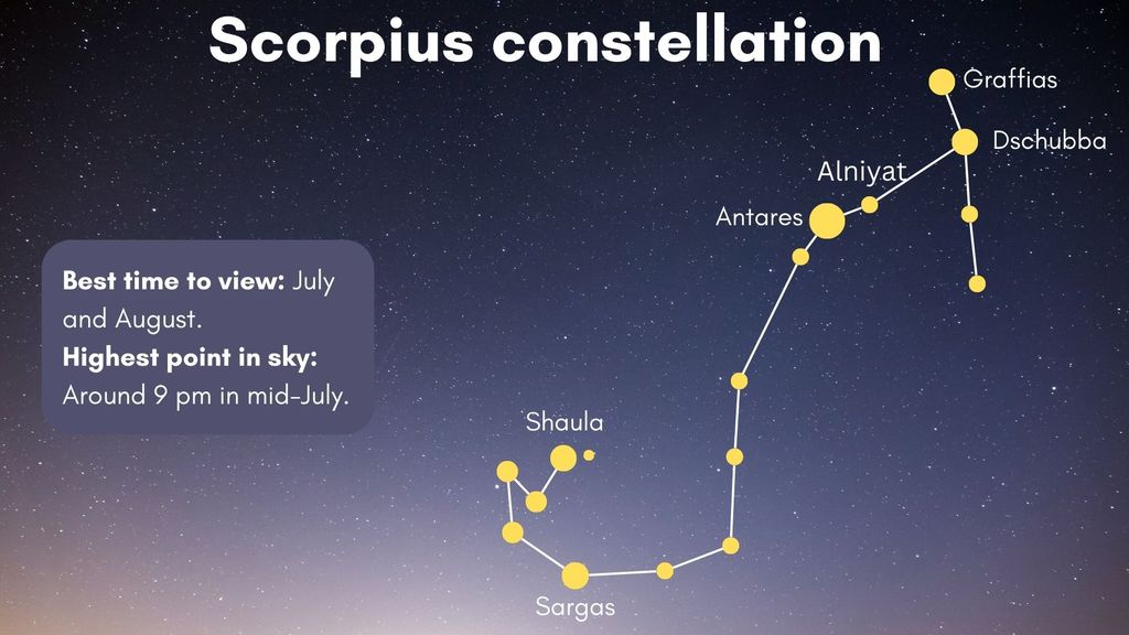 Scorpius constellation: Facts about the Scorpion | Space