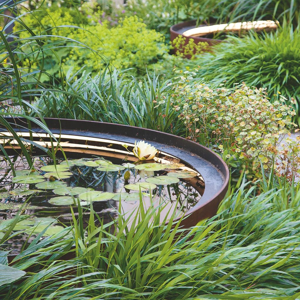 What is a healing garden? Create your own restorative space | Ideal Home