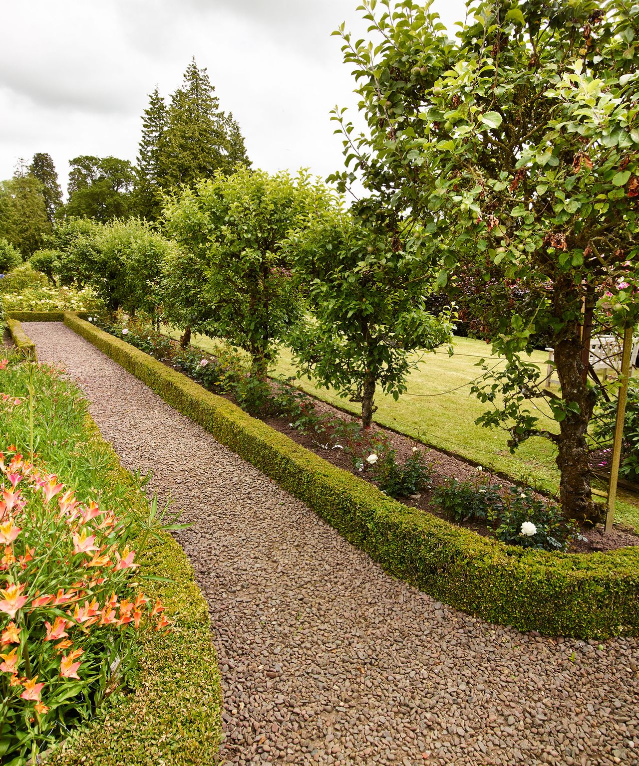 Landscaping around trees – 10 stunning ideas | Homes and Gardens