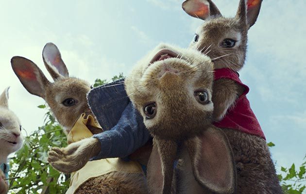 Peter Rabbit | What to Watch