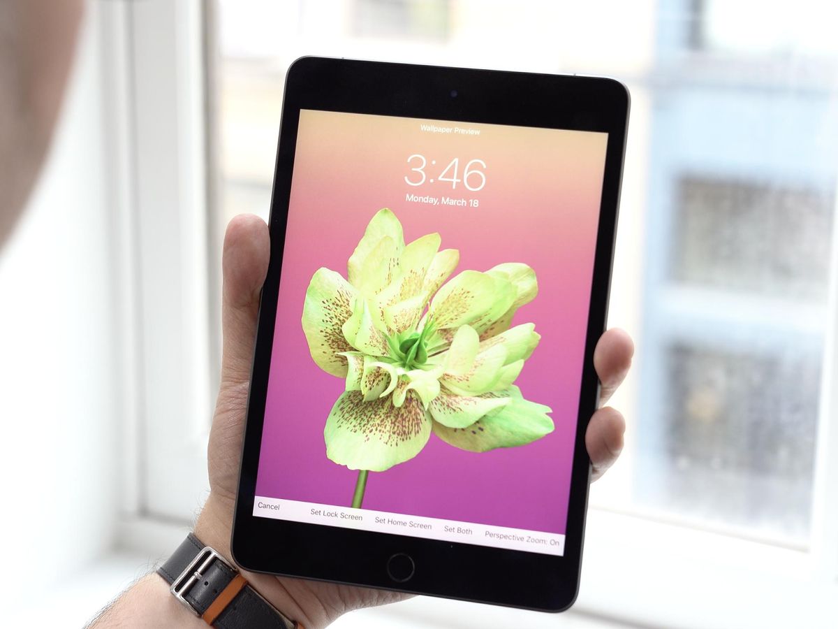 iPad mini 5 Review: Ultimate digital field notes | iMore