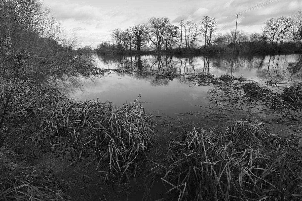 Sample Images - Nikon Df review - Page 7 | TechRadar