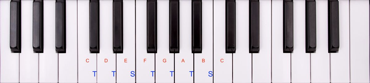 “The importance of scales cannot be understated”: How to easily grasp ...