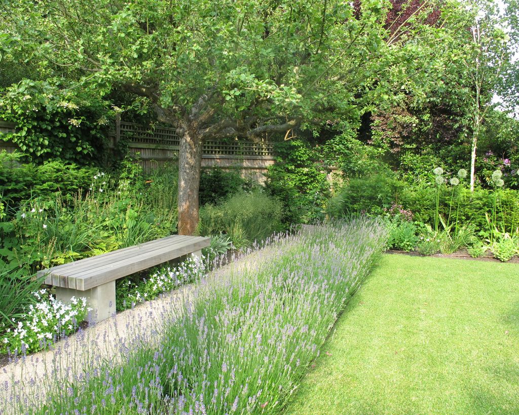 How to edge a lawn for a professional finish | Homes and Gardens