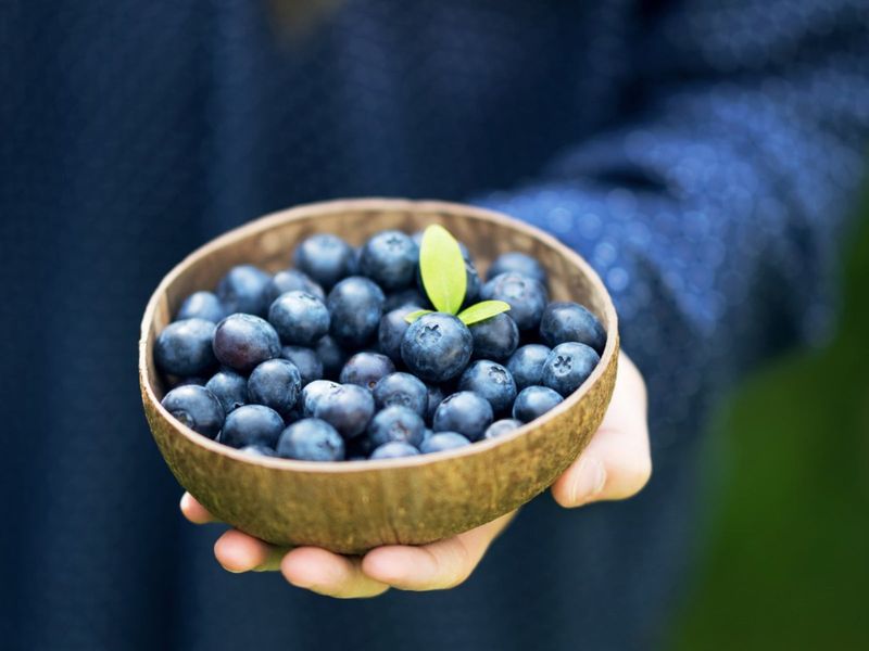 Tips & Information about Blueberries | Gardening Know How