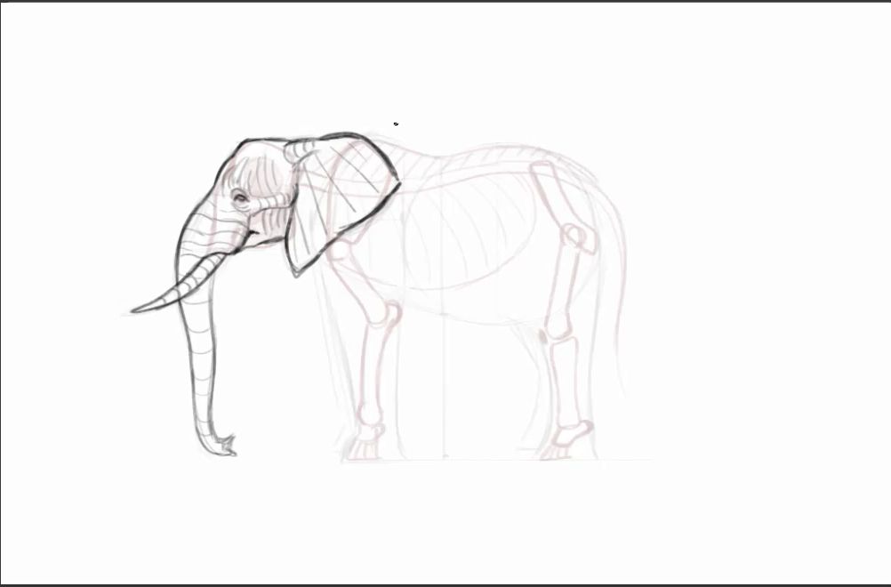 How to draw an elephant | Creative Bloq