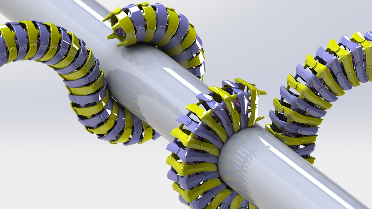 The secret ingredient to more powerful robots? Seahorse tails | TechRadar