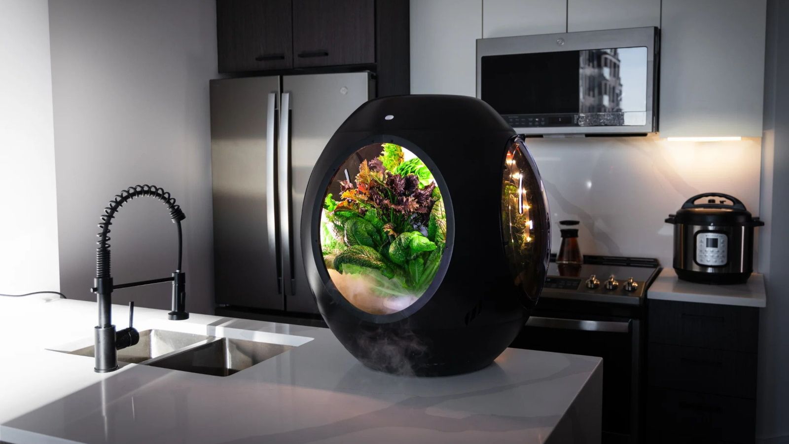 NASA technology makes fogponics possible for growing plants | Homes and ...