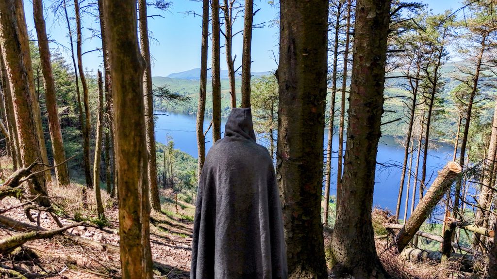 Treason, treachery and traitors, for those suffering Traitors ...