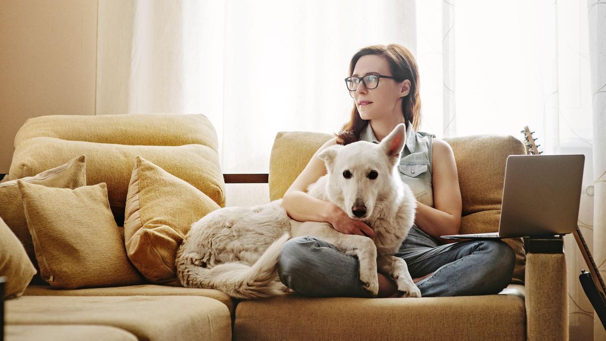 How to know if your dog is happy: 10 signs to look for | PetsRadar