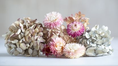 How to dry flowers – for everlasting blooms | Homes and Gardens