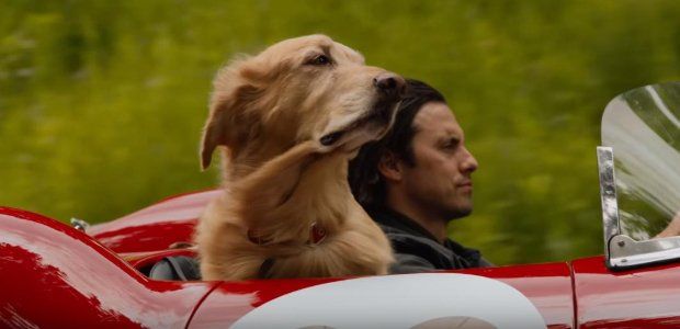The Art Of Racing In The Rain Review | Cinemablend