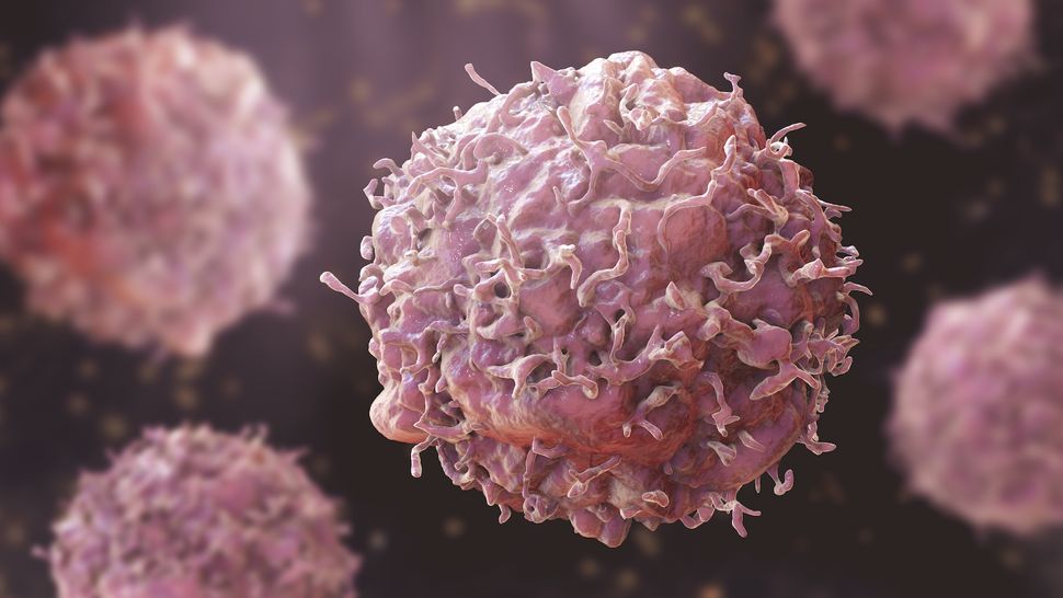Cancer: Facts about the diseases that cause out-of-control cell growth ...
