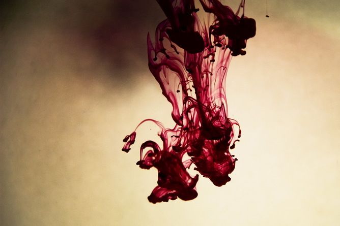 Ten Things You Didn't Know About Fat | Live Science