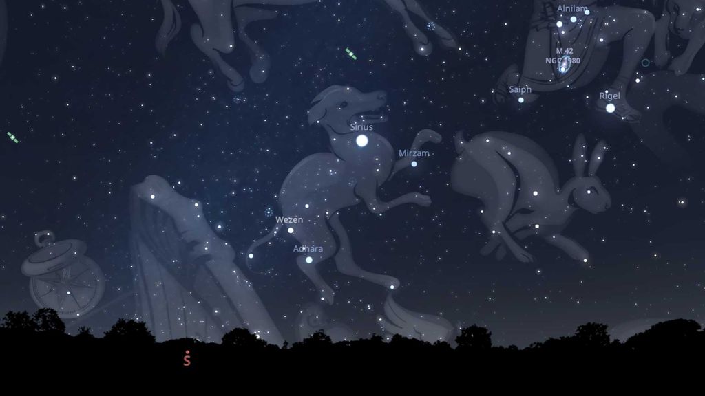 The mighty dogs of the spring night sky | Space