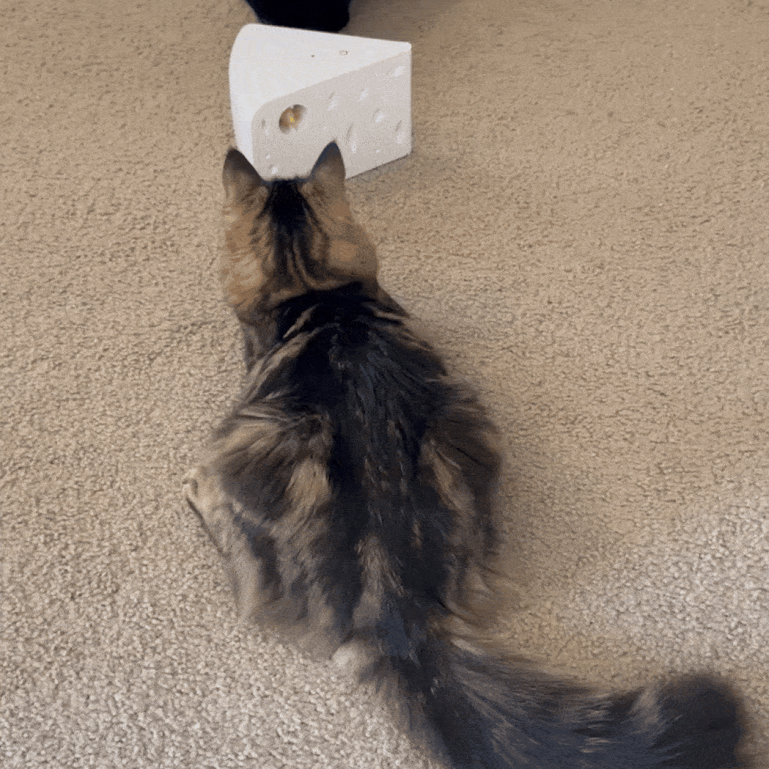 The 6 best automated cat toys, tested and approved by real pet parents ...