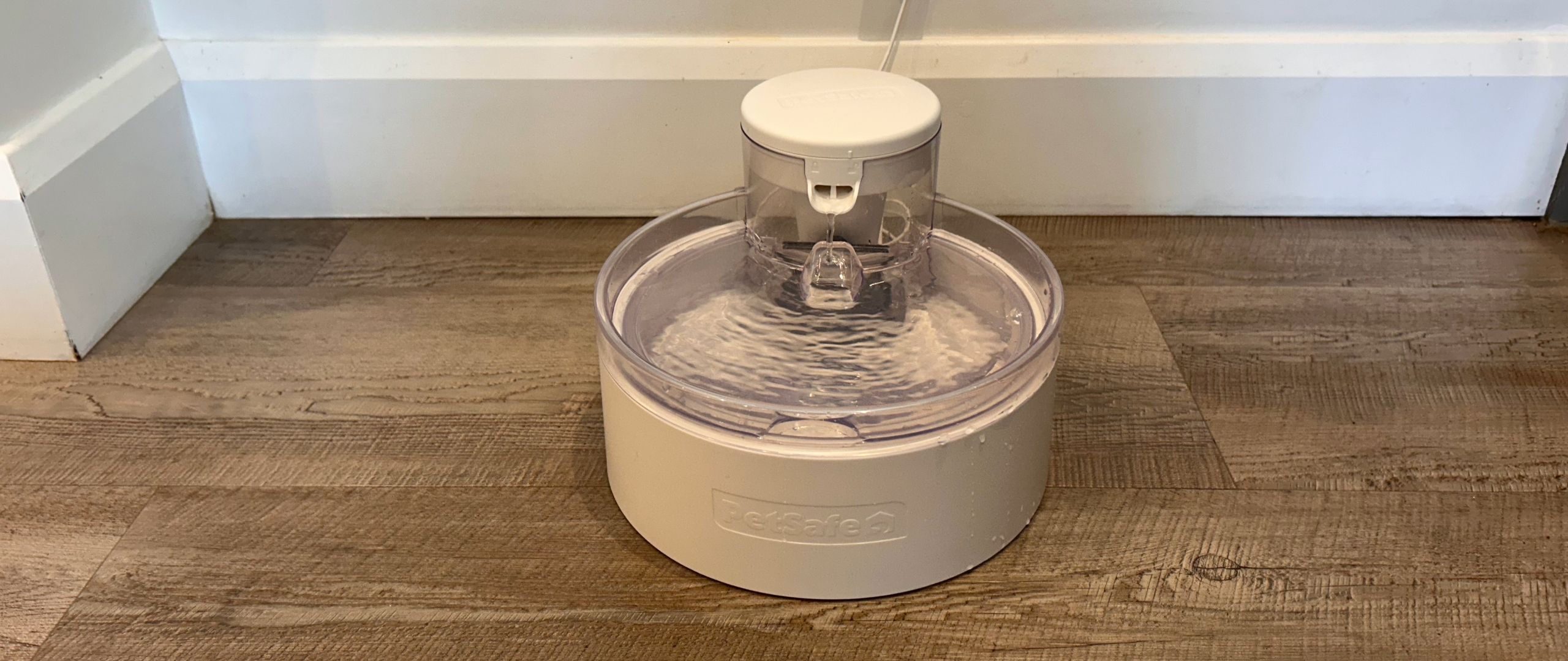 PetSafe Outlast Pumpless Cat Water Fountain: My honest review | PetsRadar