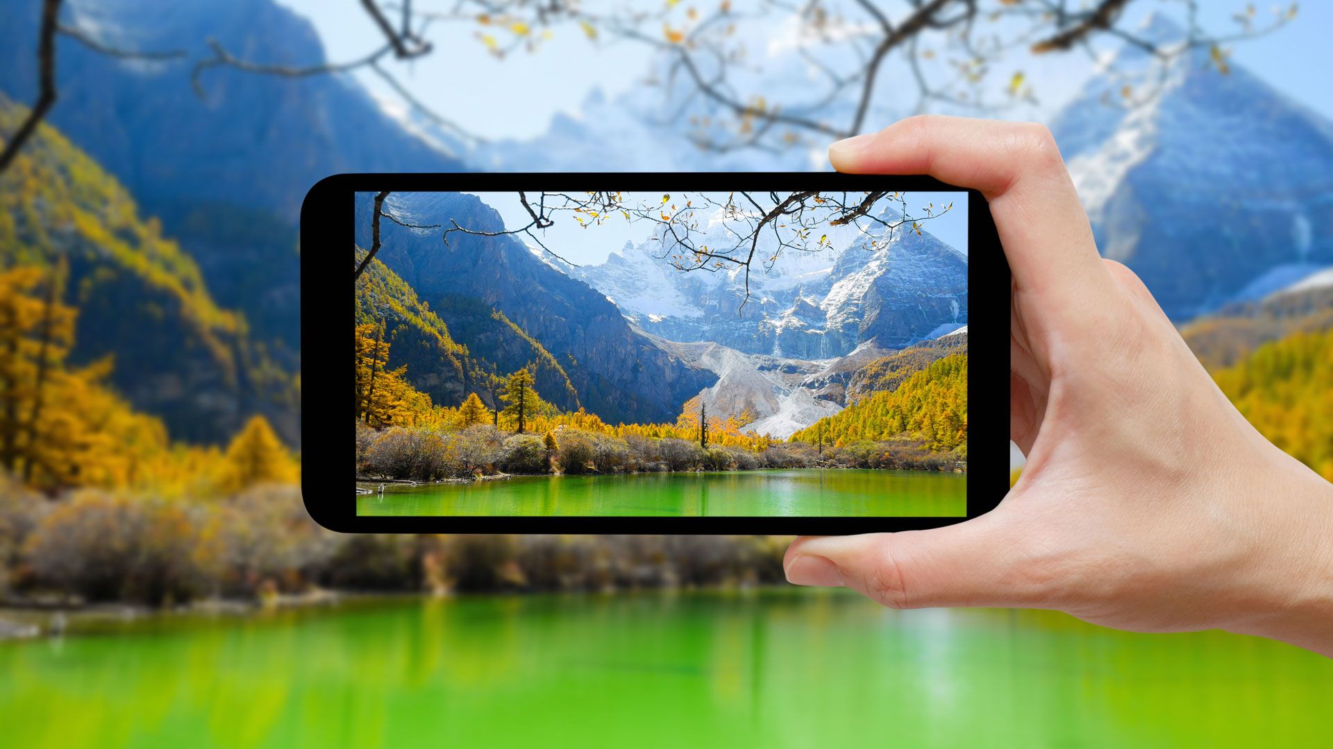 Can the best flagship smartphone camera replace your beloved mirrorless ...