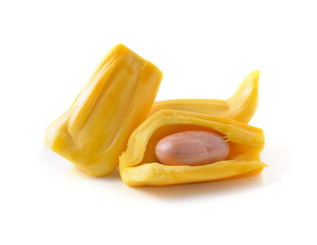 Jackfruit Seed Propagation: Tips For Growing Jackfruit From Seeds ...