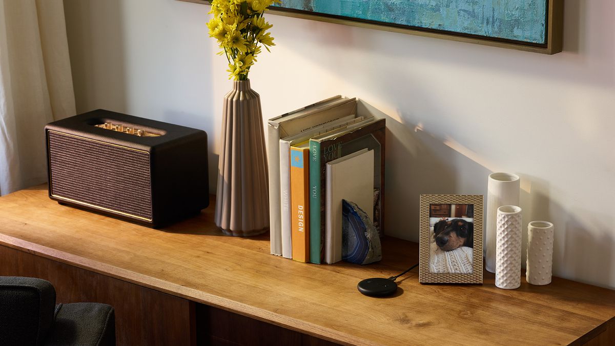 First Look: Amazon Echo Link and Amp are aiming for the audiophile ...