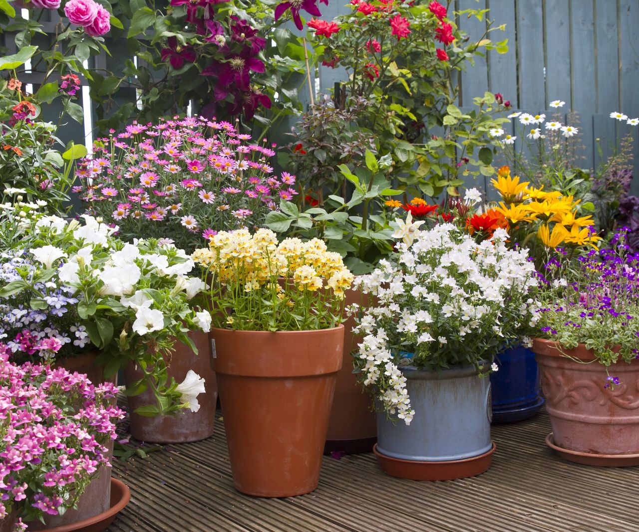 Container gardening for beginners - how to get the best pots | Homes ...