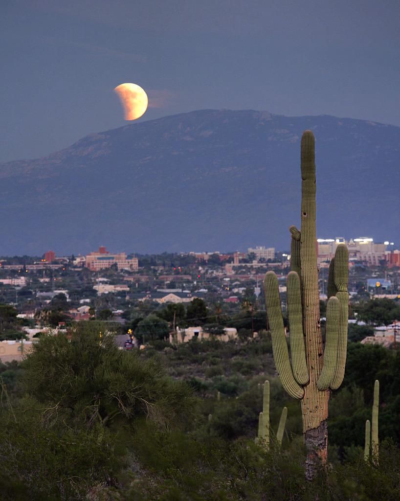 Amazing Photos of the Rare Supermoon Total Lunar Eclipse of 2015 | Space