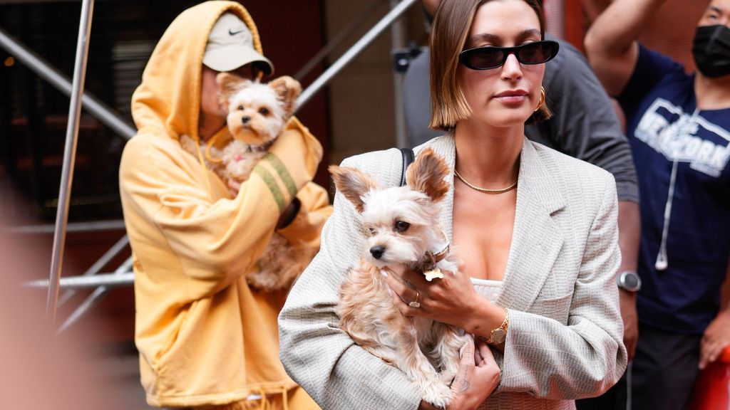 32 adorable pics of celebrities and their pets | PetsRadar