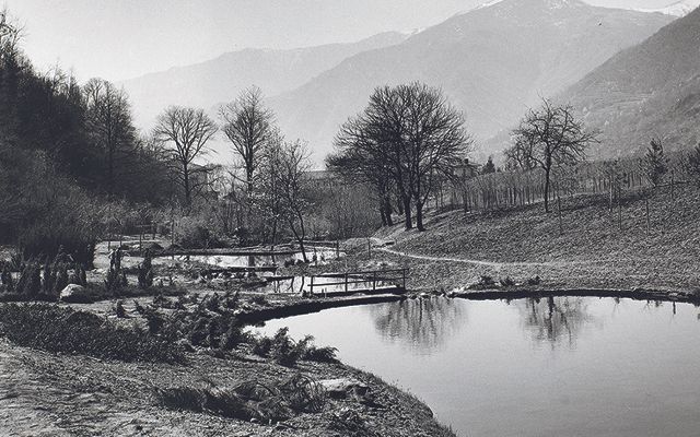 Exhibition review: Russell Page at the Garden Museum in London ...