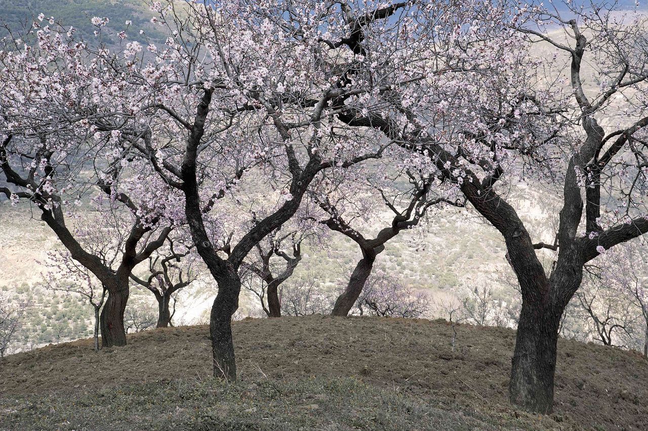 Charlie Waite: One of the world's best landscape photographers on how ...