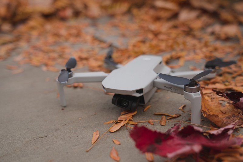DJI Mavic Mini review: The perfect starter drone | Android Central