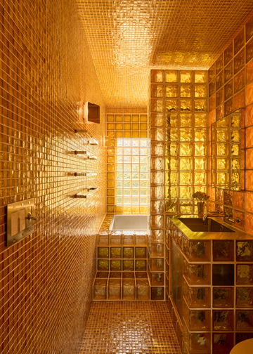Glass Blocks for Bathrooms? We Approve! | Livingetc