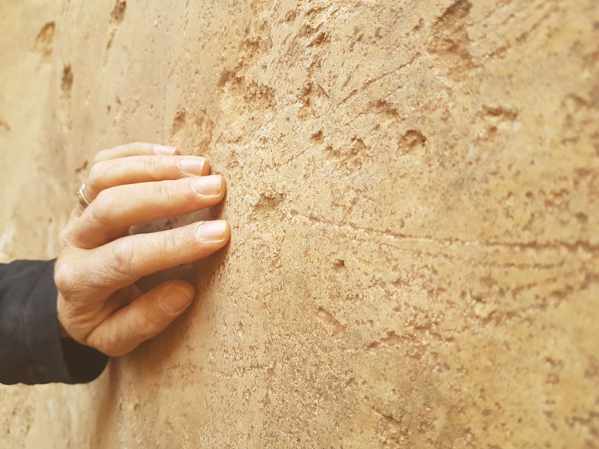 Photos: Biblical-Era Cistern and Carvings Discovered in Israel | Live ...