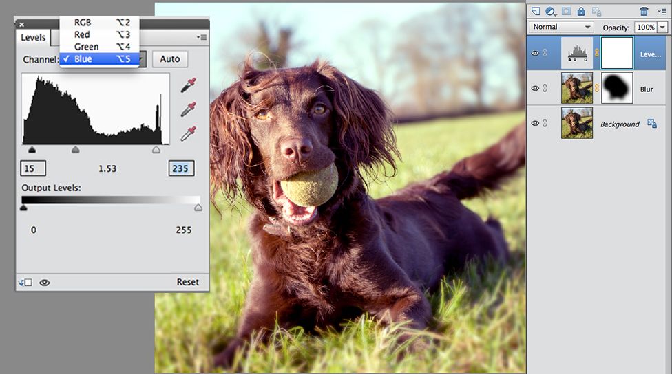 How to create Instagram-style filters | Digital Camera World