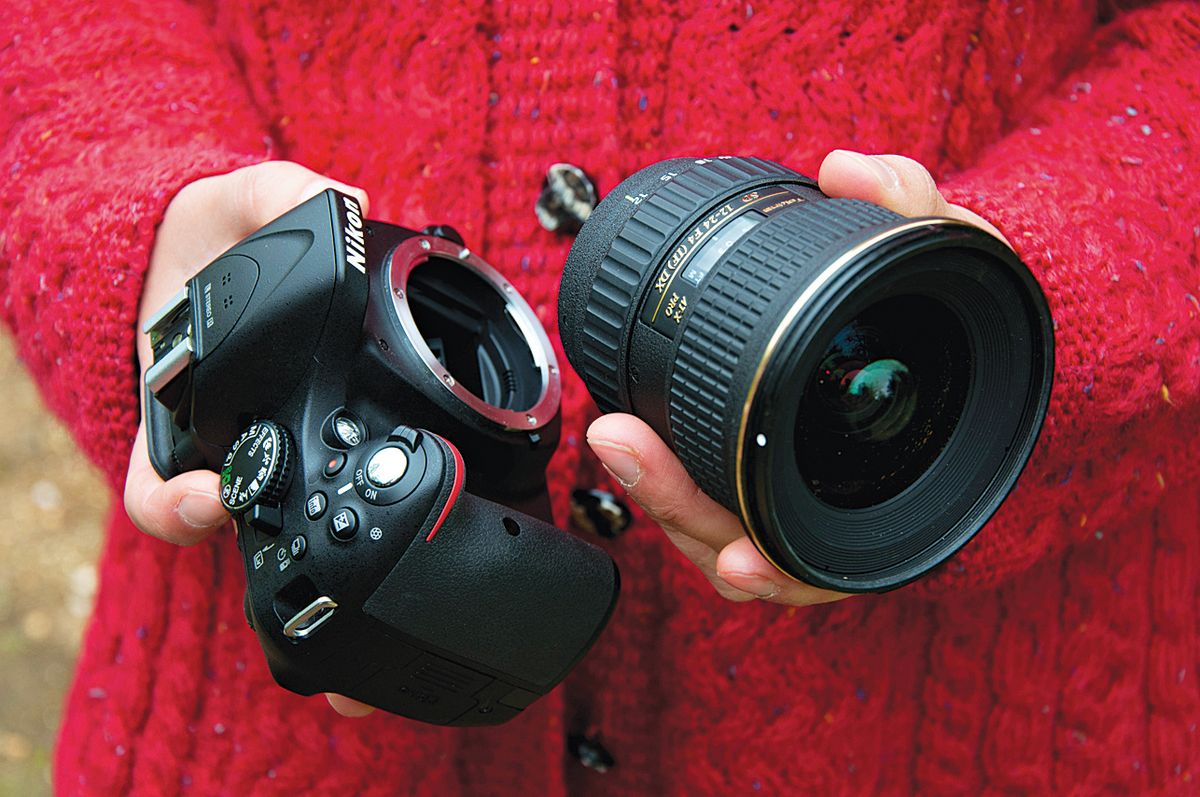 Worm's eye view photography: tips for unique flower and nature ...