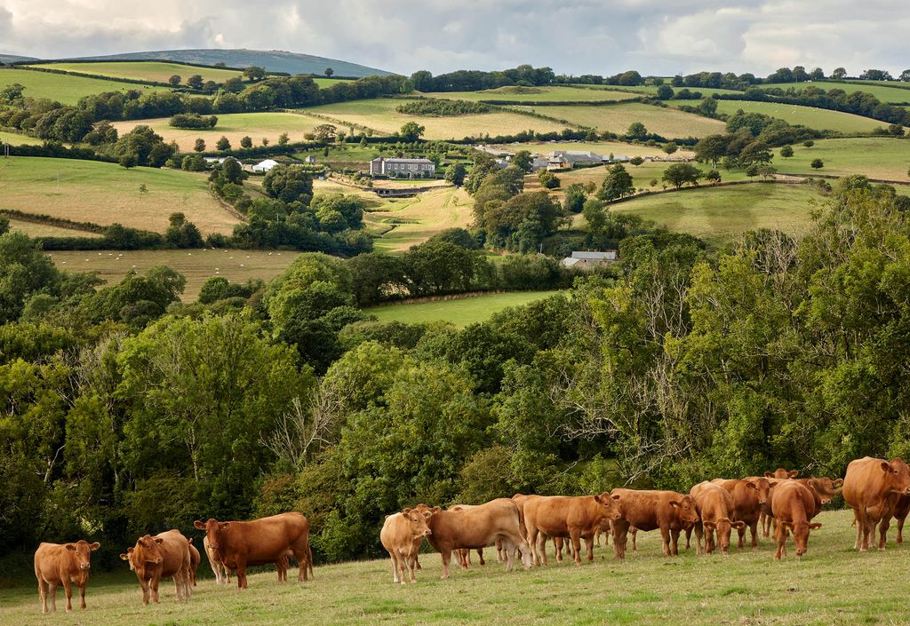 Shilstone House: A grand conception magnificently realised | Country Life