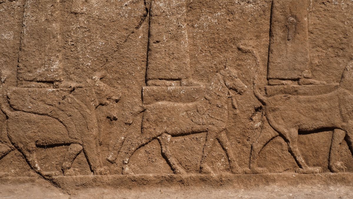 Ancient Assyrian rock carvings in Iraq show procession of gods riding ...