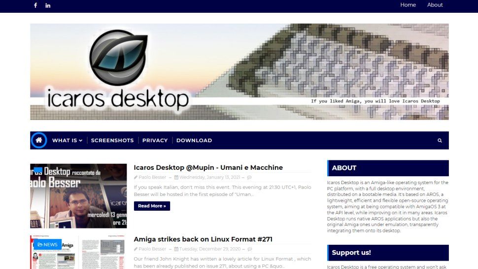 Forget Windows, Linux or MacOS: Our choice of the best alternative ...