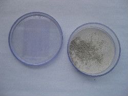 Dead Human Skin Helps Clean the Air | Live Science