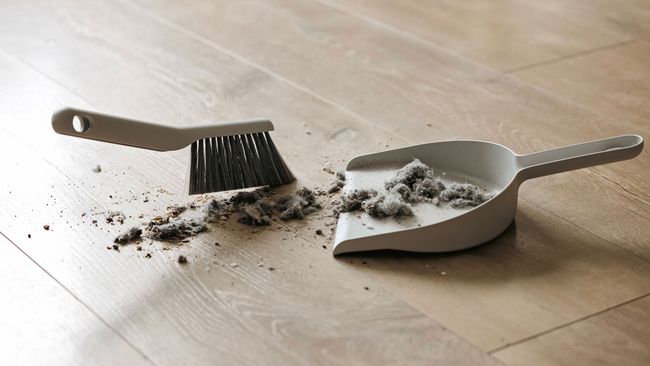 Do air purifiers help with dust? | Live Science