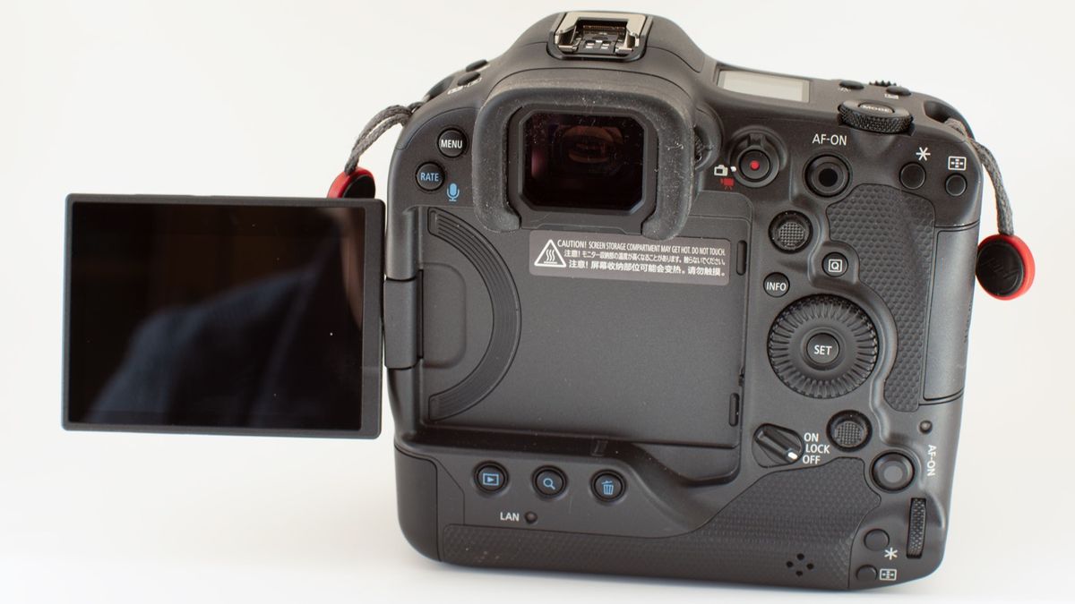 Canon EOS R3 review | Space