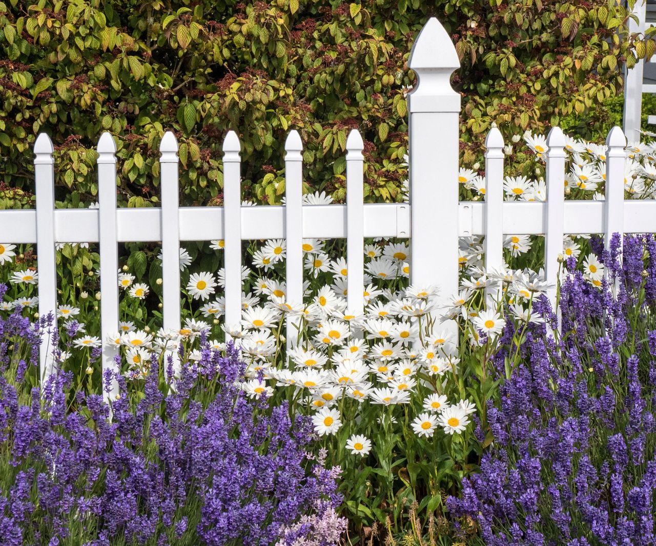 How to design a romantic garden: 9 expert tips you need to know | Homes ...