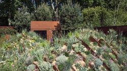 Fire-smart landscaping ideas: 5 expert methods for fire-safe design and ...
