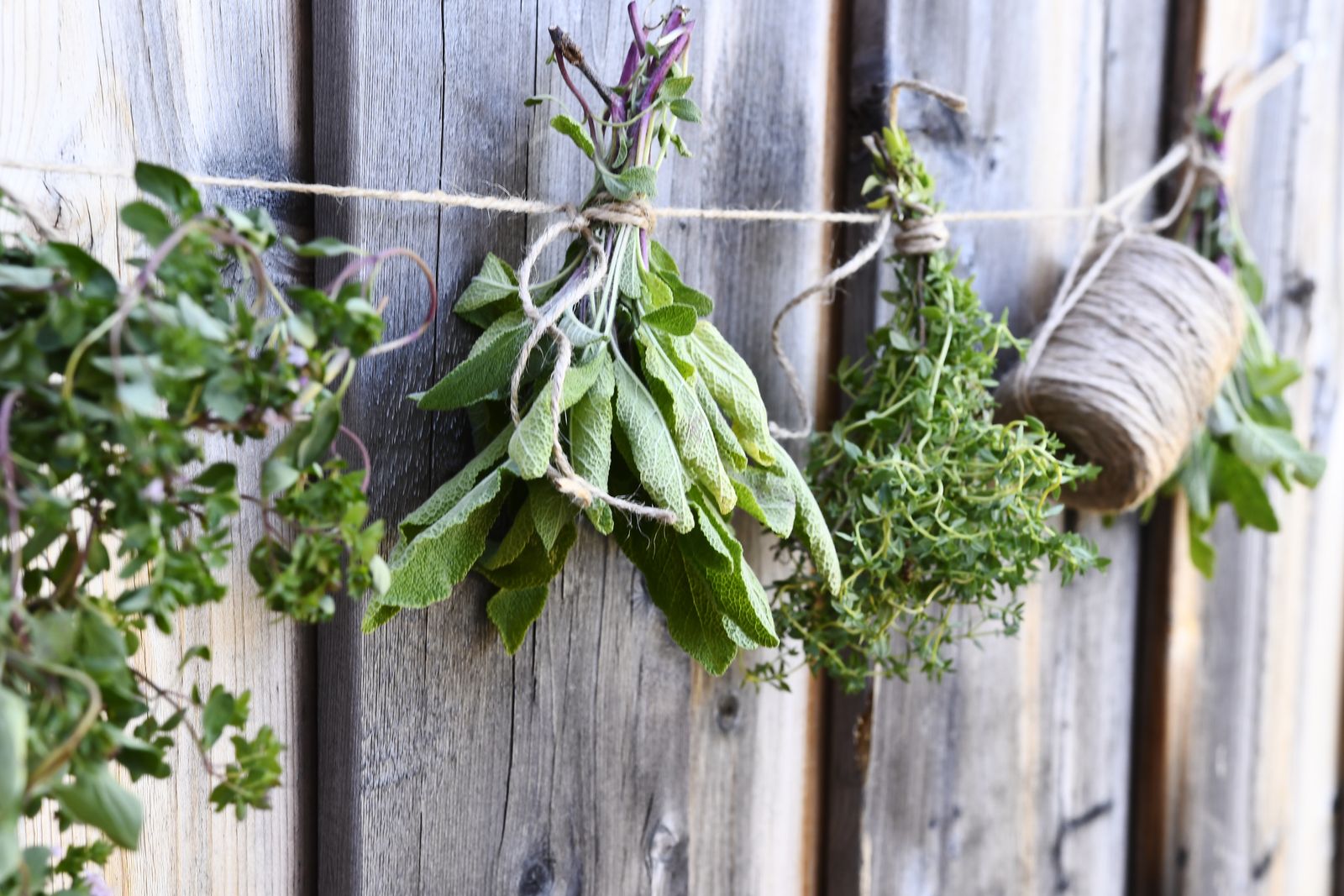 How to Dry and Store Fresh Garden Herbs | Livingetc