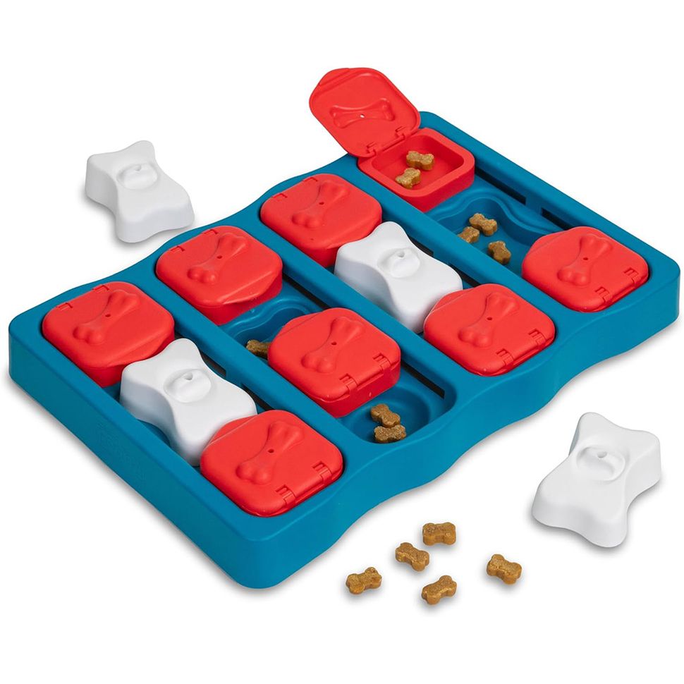 Best dog puzzle toys 2025 for your clever canine | PetsRadar